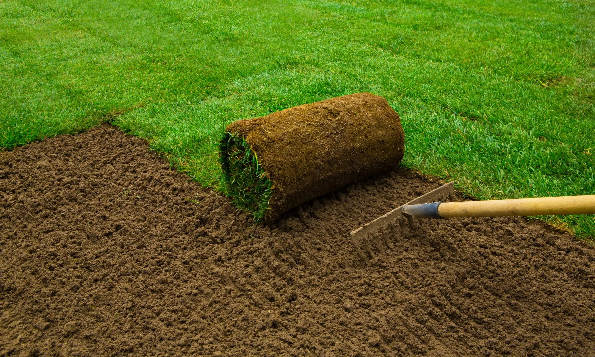 Sod & Seed Solutions - Fine Touch Services